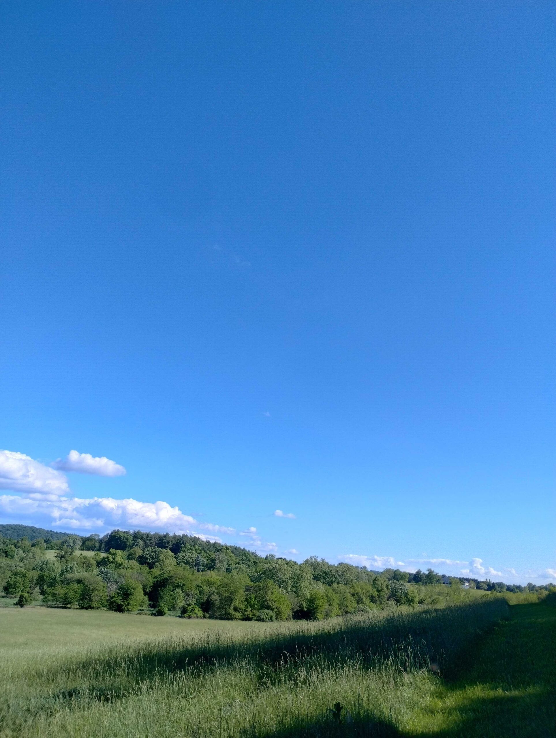 Phillips Farm - Waterford Foundation