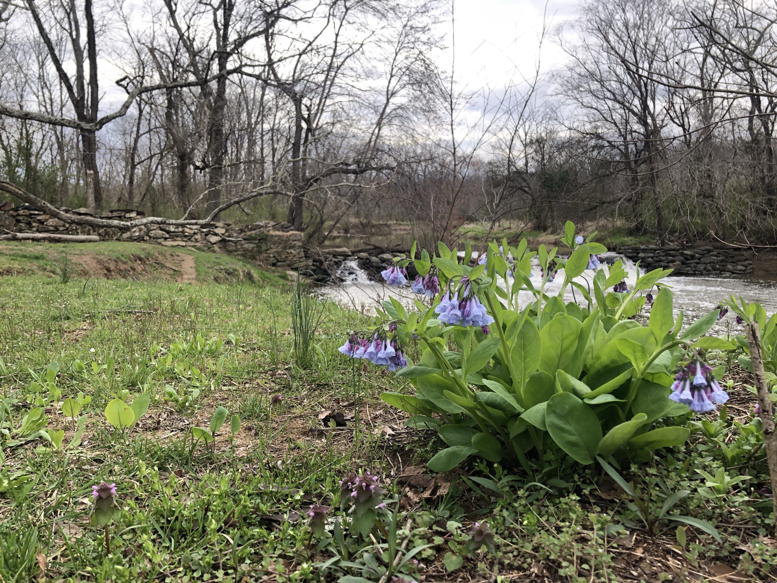Phillips Farm - Waterford Foundation