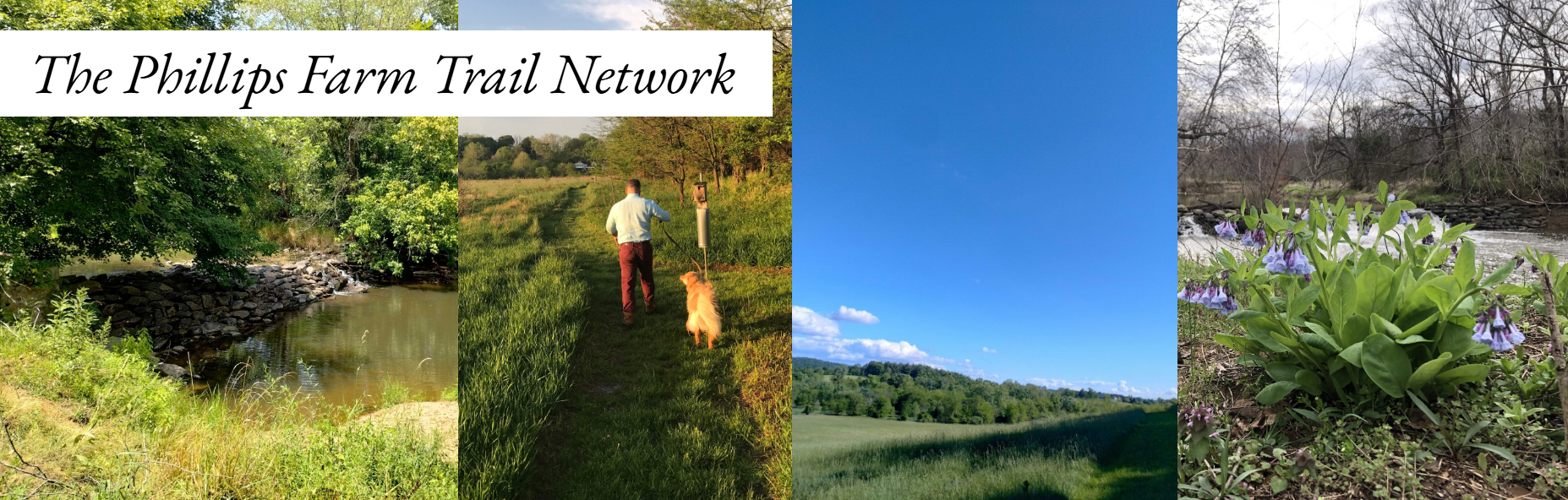 Phillips Farm Trails - Waterford Foundation
